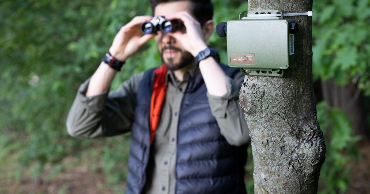 5 Ways To Make The Most Of Your Animal Behavior… | Wildlife Acoustics