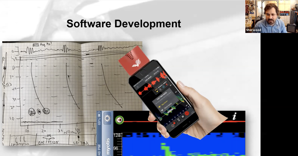 Talking Bat Interview with Wildlife Acoustics | Wildlife Acoustics