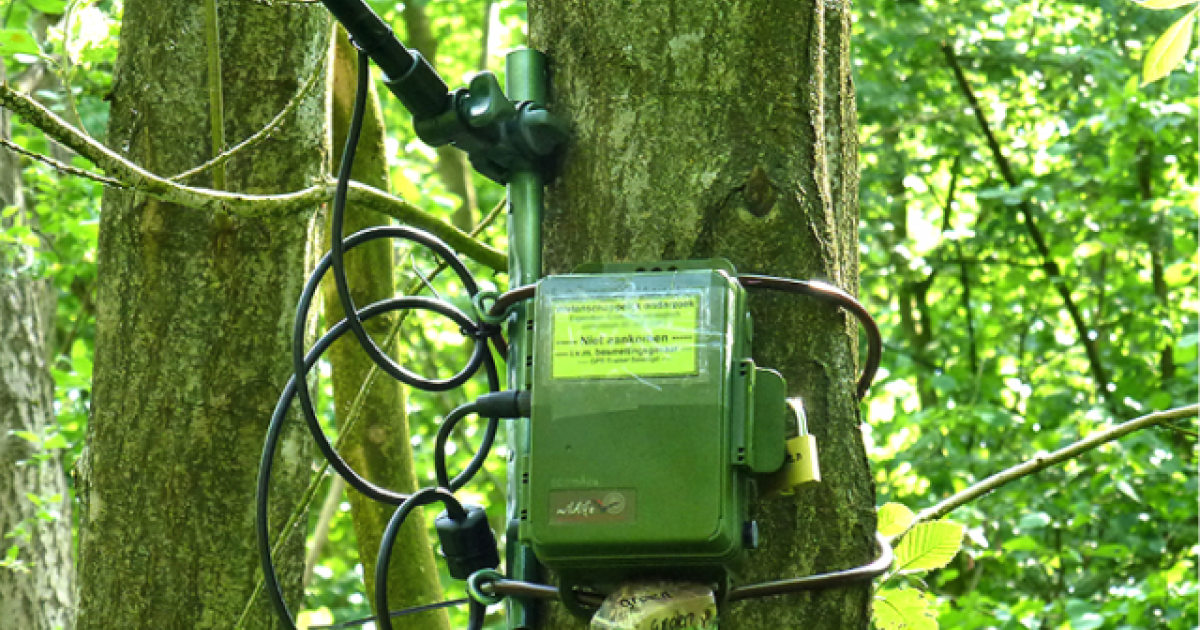 Mounting an SM4BAT Mic Using a Telescoping… | Wildlife Acoustics