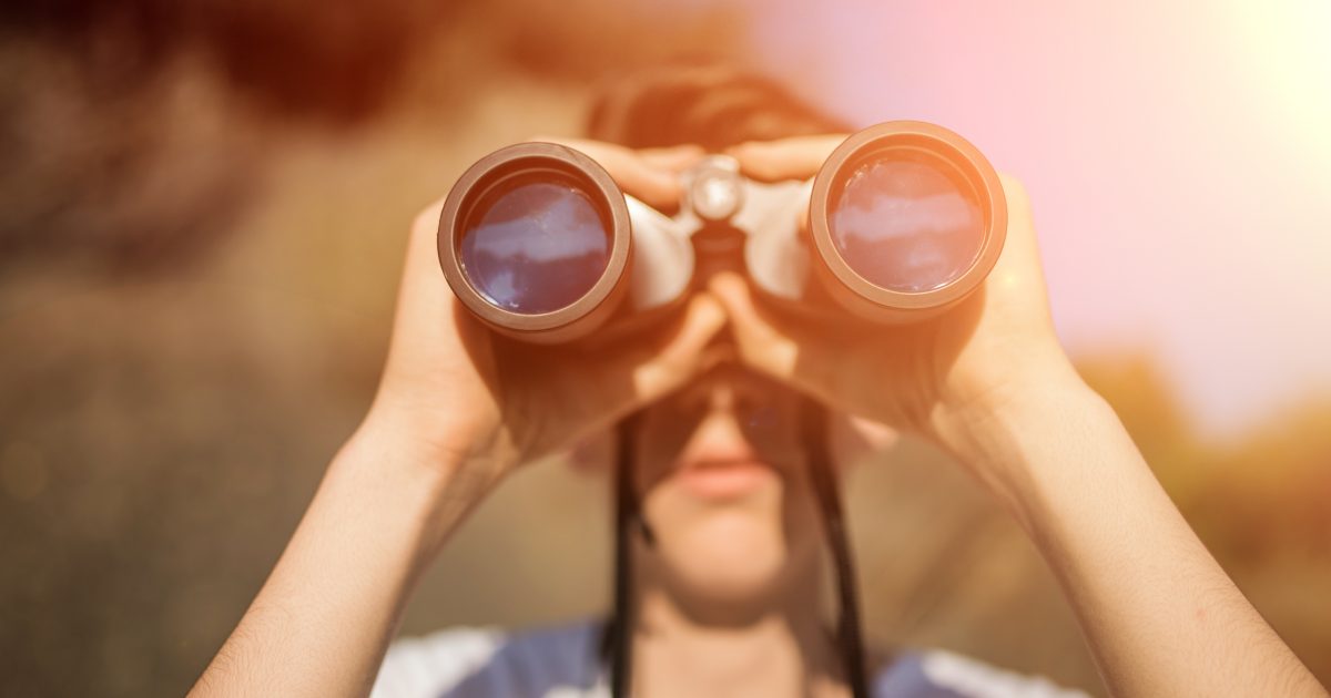 4 Reasons Why Acoustic Monitoring Reigns Supreme… | Wildlife Acoustics