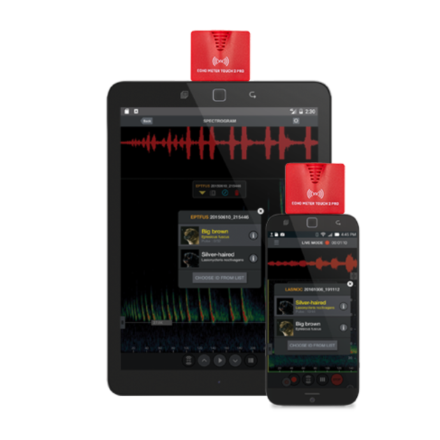 Echo Meter Touch 2 PRO Active Bat Detector | Wildlife Acoustics