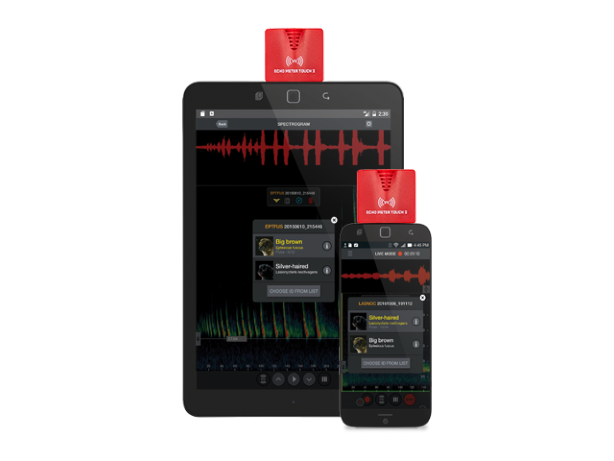 Echo Meter Touch 2 Active Bat Detector | Wildlife Acoustics