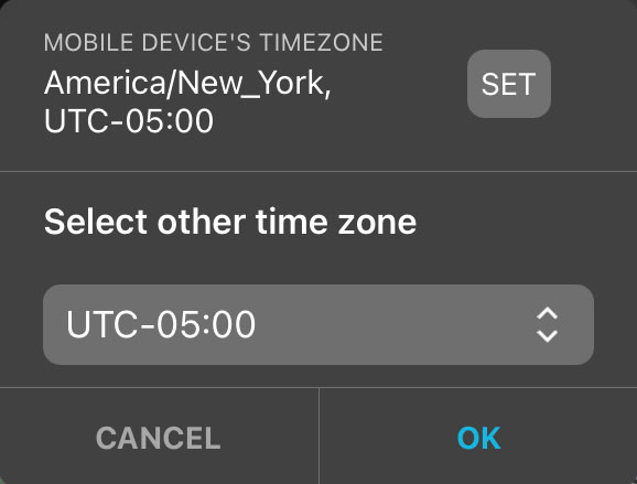 Manually Set the Recorder's Time Zone